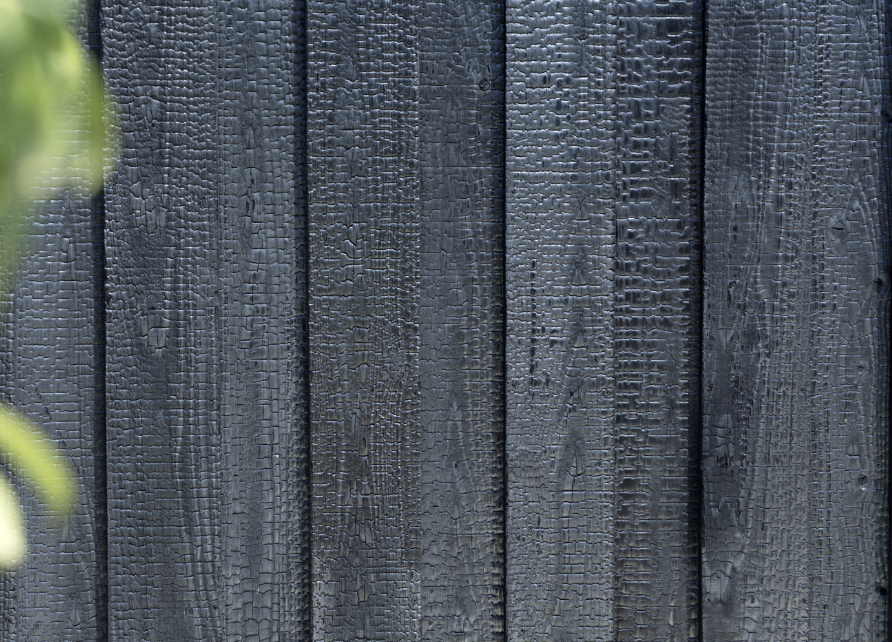 Honmura’s Burnt Cedar Architecture: A Timeless Naoshima Treasure ...